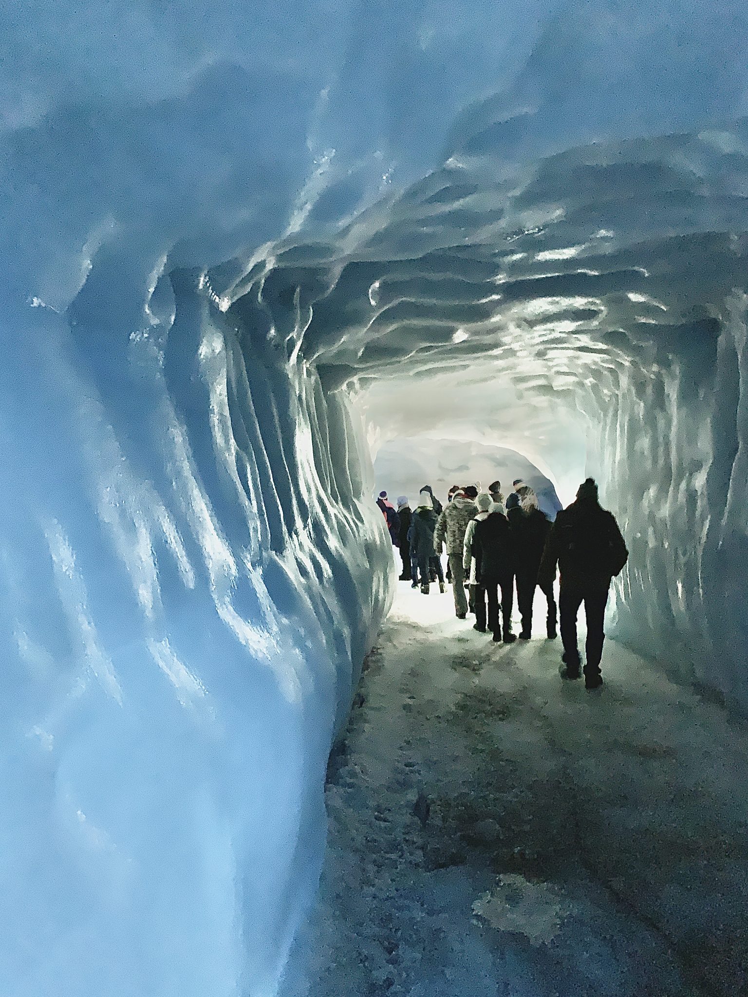 Reisernte auf Bali • GIOCOSOPRESS