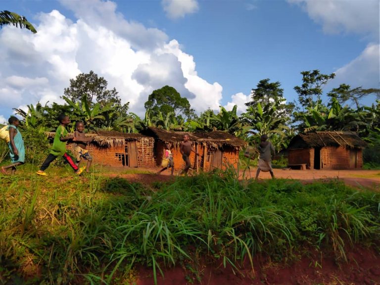 Reisernte auf Bali • GIOCOSOPRESS